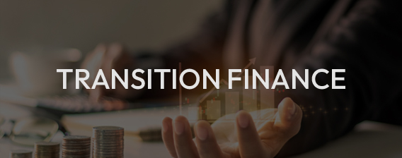 What We Do - Singapore Sustainable Finance Association