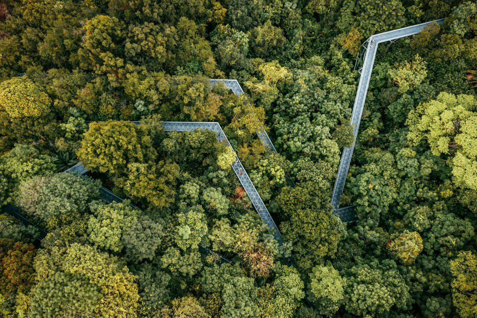 SSFA’s Taxonomy Workstream Releases Additional Guidance to Further ...