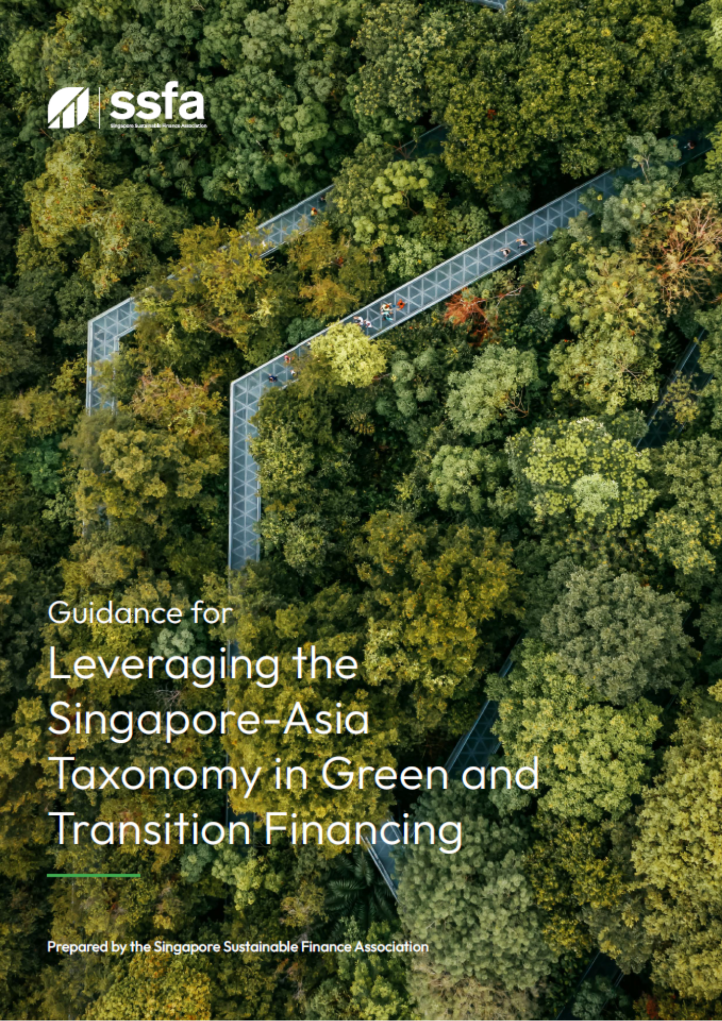 Guidance for Leveraging the Singapore-Asia Taxonomy in Green and ...